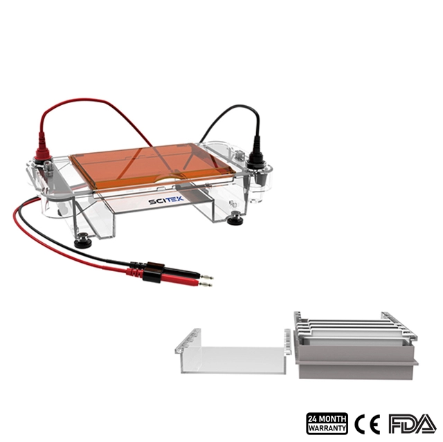 Horizontal Electrophoresis Tank - Gel Electrophoresis Systems