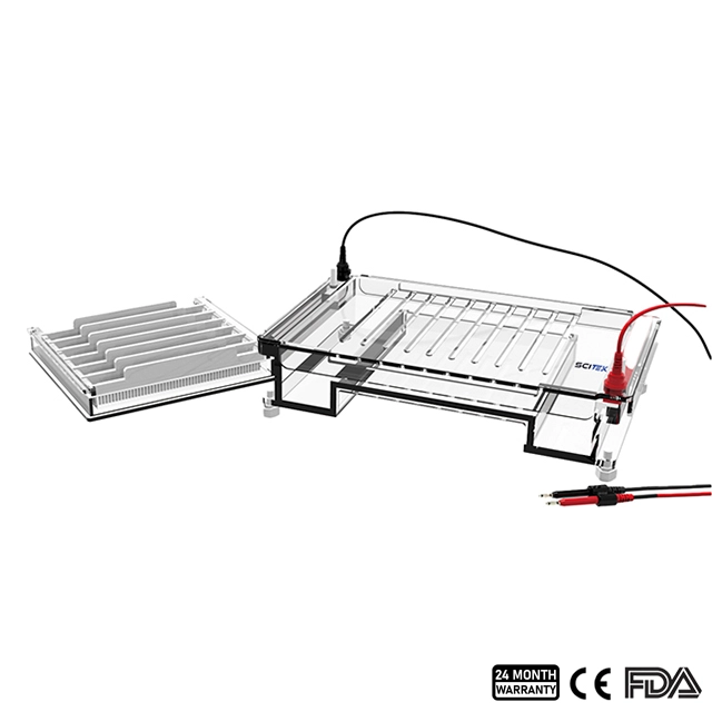 Top Horizontal Gel Electrophoresis Tank