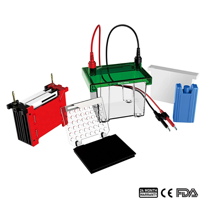 Economical Transfer Electrophoresis Tank - Scitek